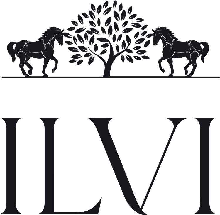 Hilltown Küçükyalı Alışveriş Merkezi - Markalar